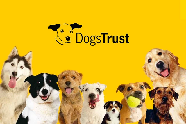 Fondacija Dogs Trust BiH istraživanje javnog mnijenja - Učešćem ...