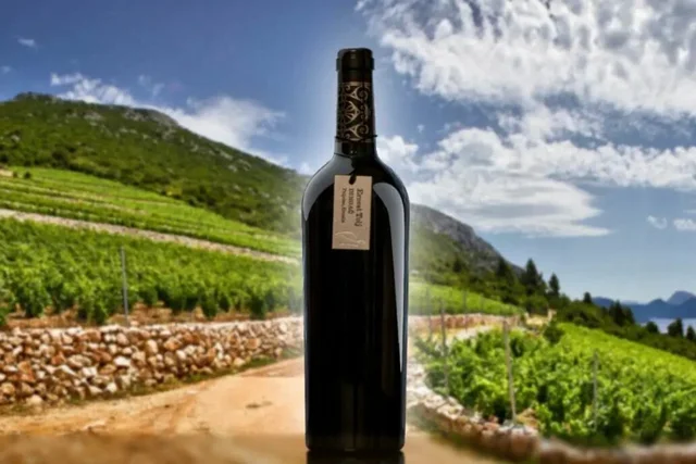 Najbolje ocijenjeno hrvatsko vino: Ernest Tolj Dingač dobio 99 od 100 ...